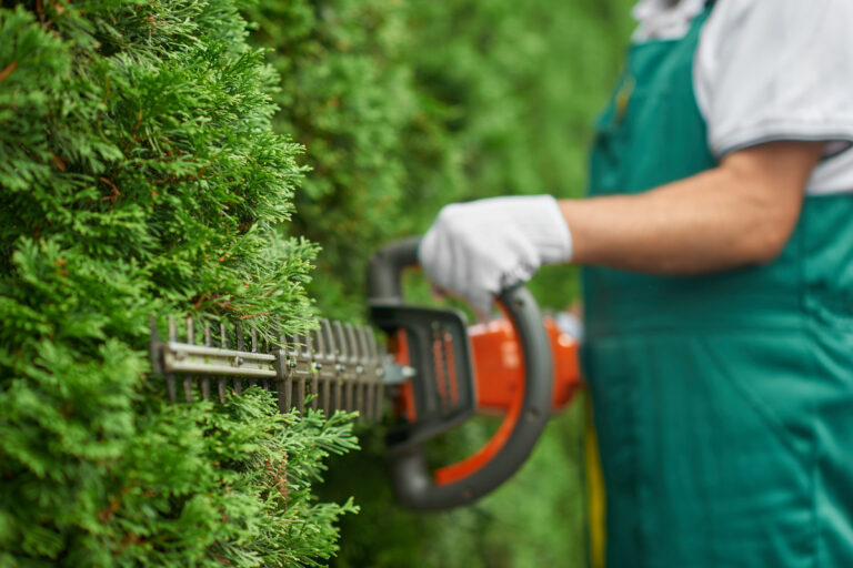 How Much Do Landscaping Services Cost Houston Wire how-much-do-landscaping-services-cost-houston-wire